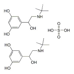 Terbutaline hemisulfate salt | C24H40N2O10S | 677590 | 23031-32-5